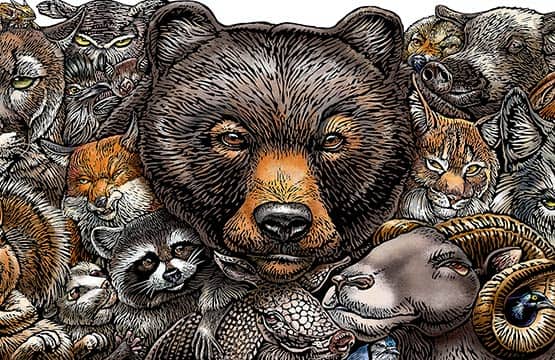 Painting Software for Beginners - Corel Painter Essentials 7